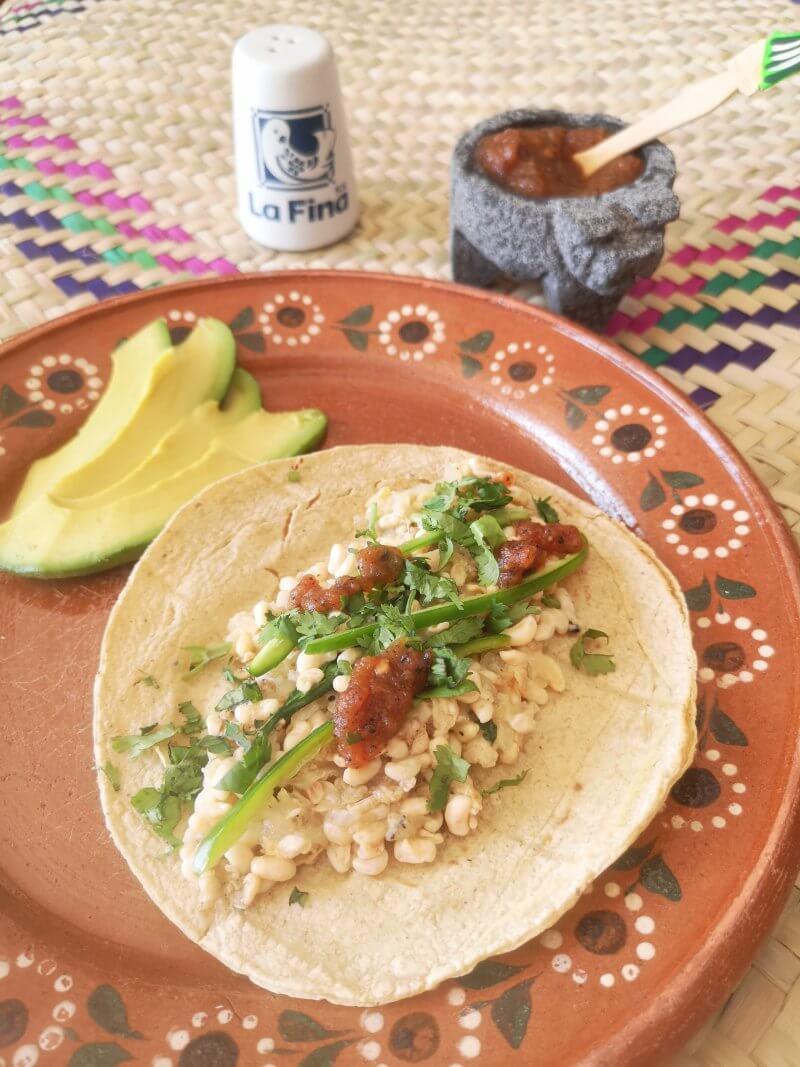 Escamoles: El Caviar Mexicano - Sana y Hermosa