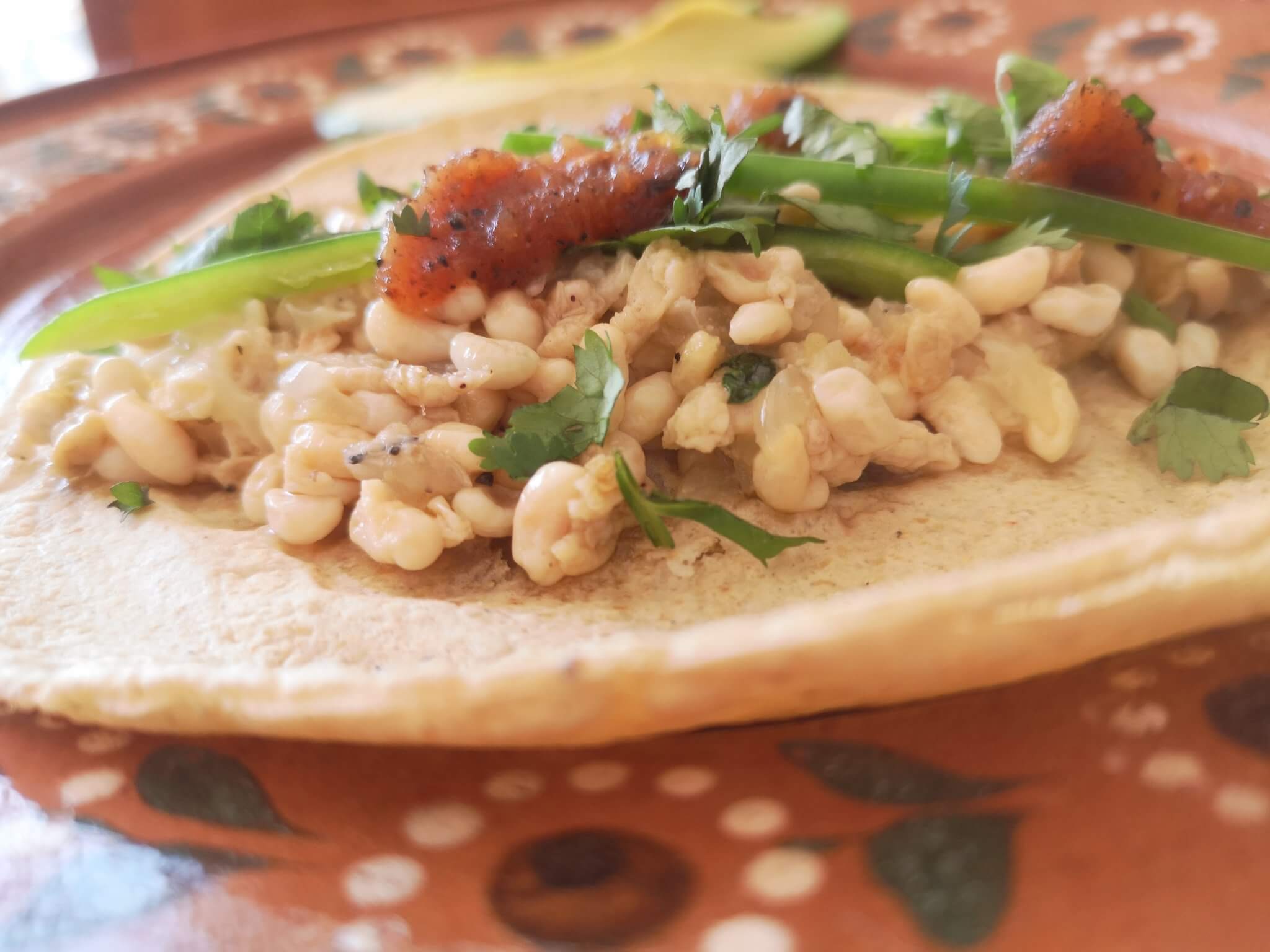 Escamoles: El Caviar Mexicano - Sana y Hermosa